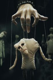 Seasons – FarsiPlex